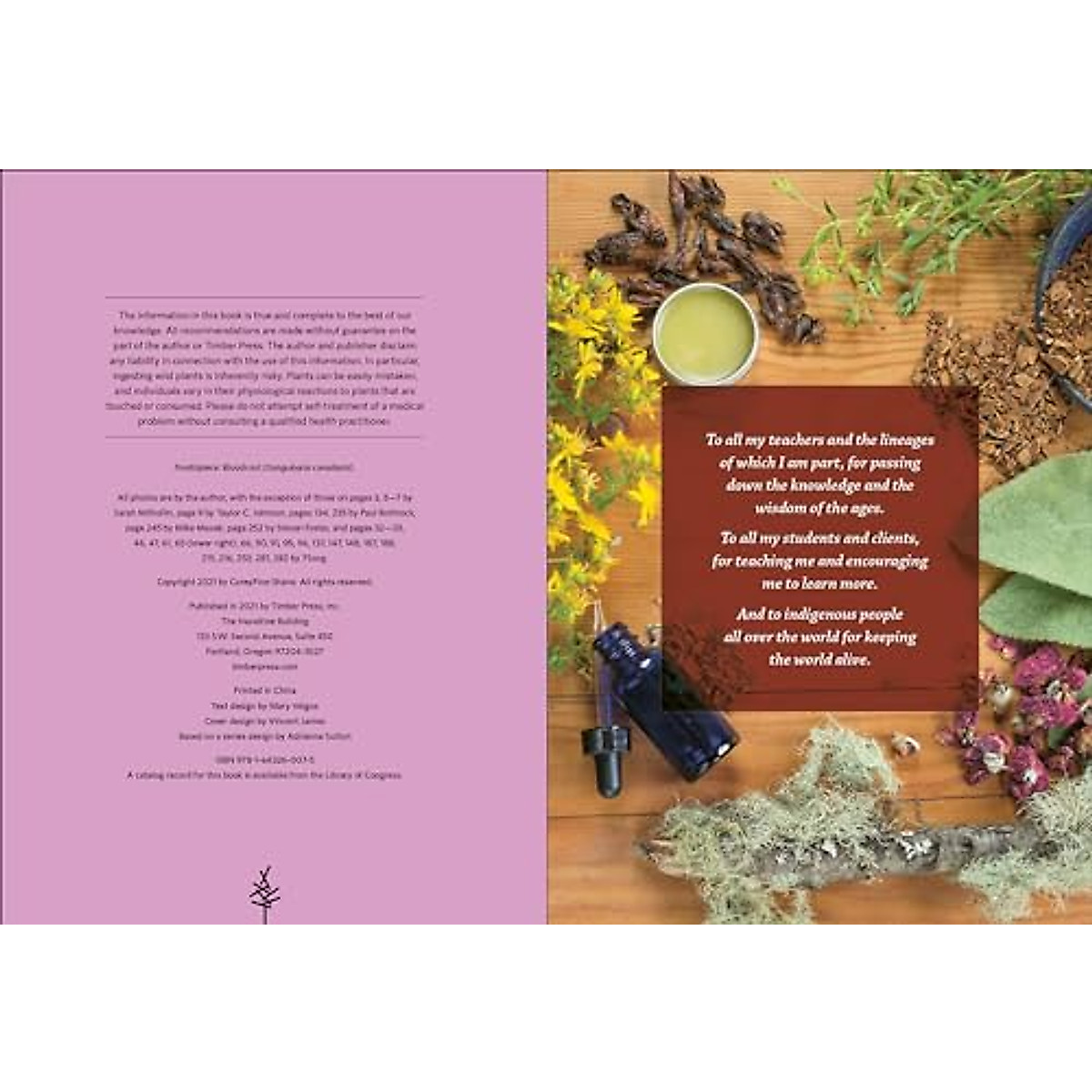 Southeast Medicinal Plants: Identify, Harvest, and Use 106 Wild Herbs for Health and Wellness (Medicinal Plants Series)