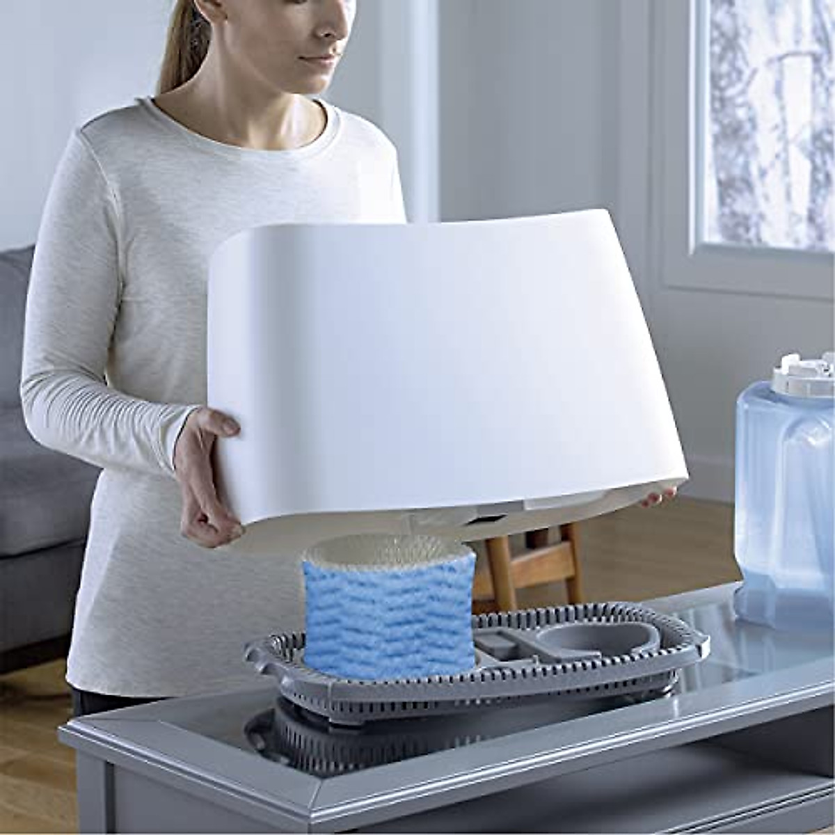 Honeywell Replacement Wicking Filter A, 1 Pack, White