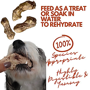 Ancestral Hunter Freeze Dried Chicken Necks for Dogs & Cats - Made in USA- Healthy Chicken Neck Treats for Dogs- Freeze Dried Raw Chicken Necks for Dogs