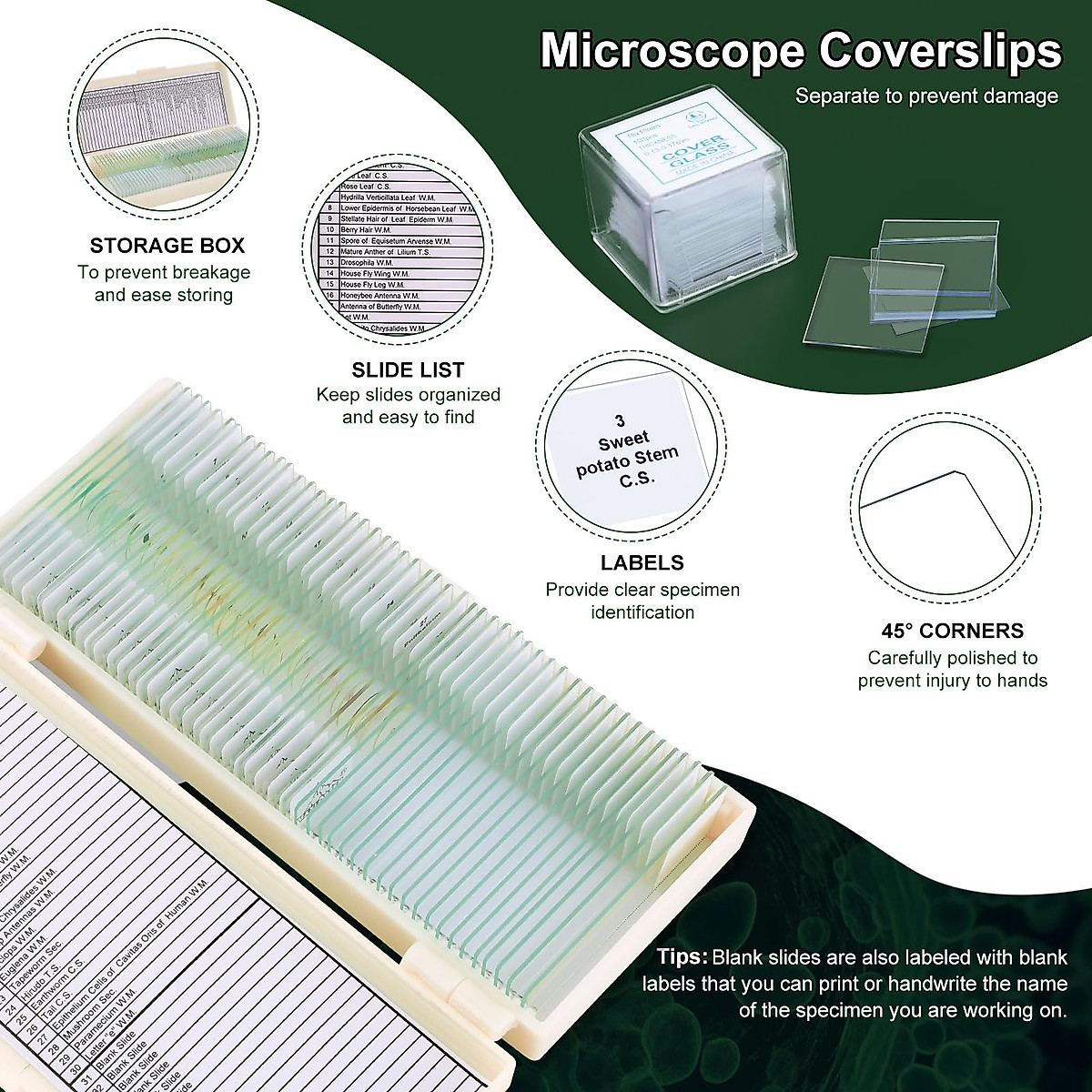 50 Microscope Slides and 100 Covers Set - 30 Prepared Microscope Slides with Specimens, 20 Blank Microscope Slides and 100 Microscope Coverslips - Microscope Slides for Kids Students Homeschool Use