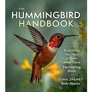 The Hummingbird Handbook: Everything You Need to Know about These Fascinating Birds