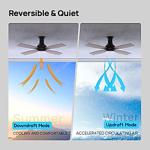 Consciot 52 Inch Ceiling Fan With Lights, Modern Black Ceiling Fan, Remote Control, Quiet Reversible DC Motor, Flush Mount, Dimmable 3CCT LED Light, Double Finish Blade, For Indoor Bedroom Living Room