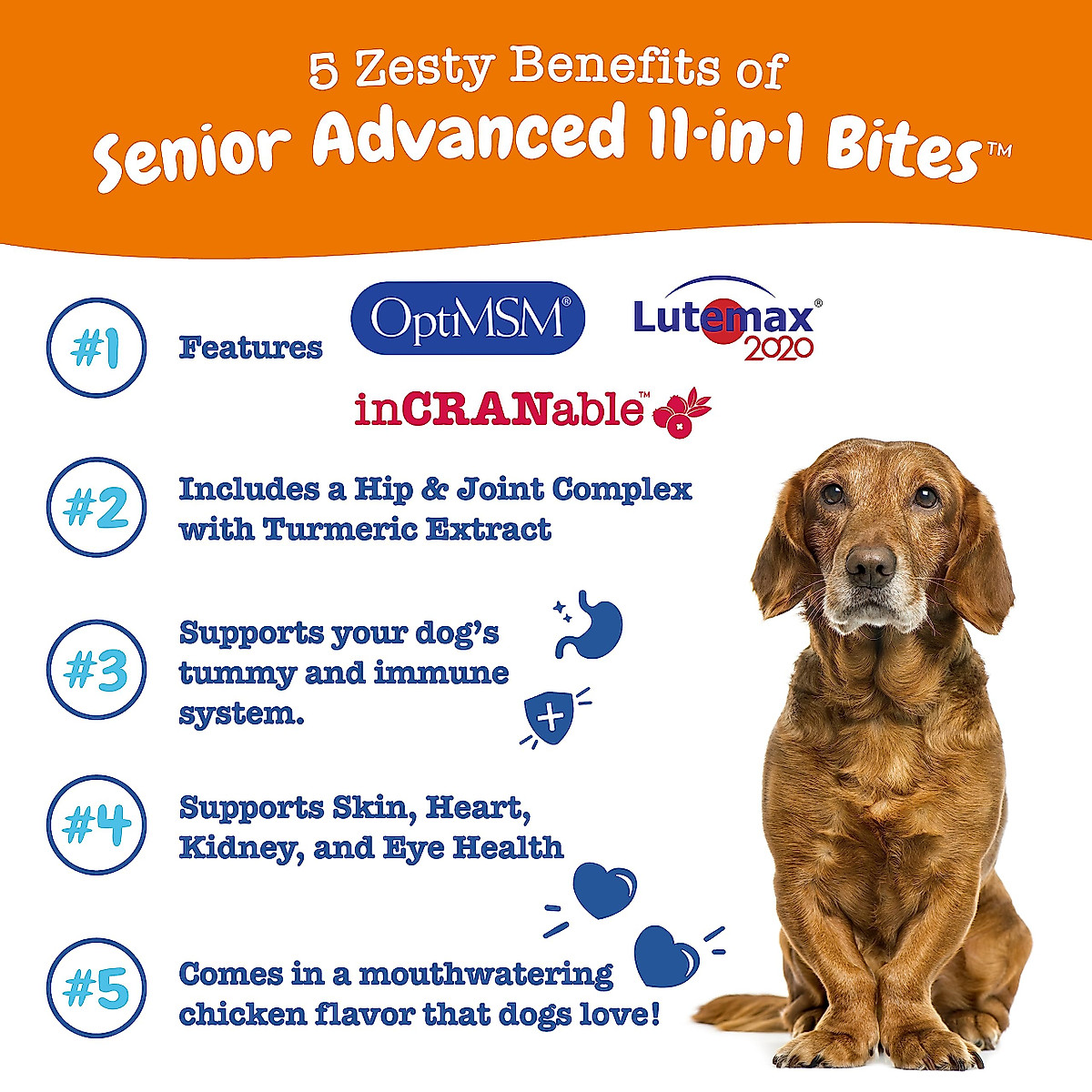 Zesty Paws Senior Dog Multivitamin Treats - Glucosamine for Dogs + Digestive Enzymes & Probiotics - Grain Free Dog Vitamins for Skin & Coat + Immune Health Chicken - Advanced - 90ct