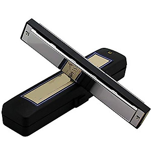 WAAZVXS Harmonica 24 Holes Key C Musical Instruments for Beginner (Color : Key C)
