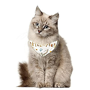 LEVEIS 2 Pack Dog Bandana Oktoberfest Pattern Girl Boy Pet Bibs Dog Scarf Kerchief Washable Bandanas Accessories for Small Medium Large Dogs Puppy Cat Pet, 40.6x40.6x58/16x16x22.8in (cwwb-001)