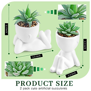 Der Rose Set of 2 Fake Plants Artificial Succulent Plants for Office Desk Accessories Bathroom Home Room Aesthetic Decor Indoor
