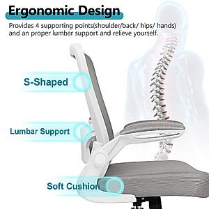 FelixKing Ergonomic Office Chair, Adjustable Height, Breathable Mesh Fabric, Lumbar Support, Gray