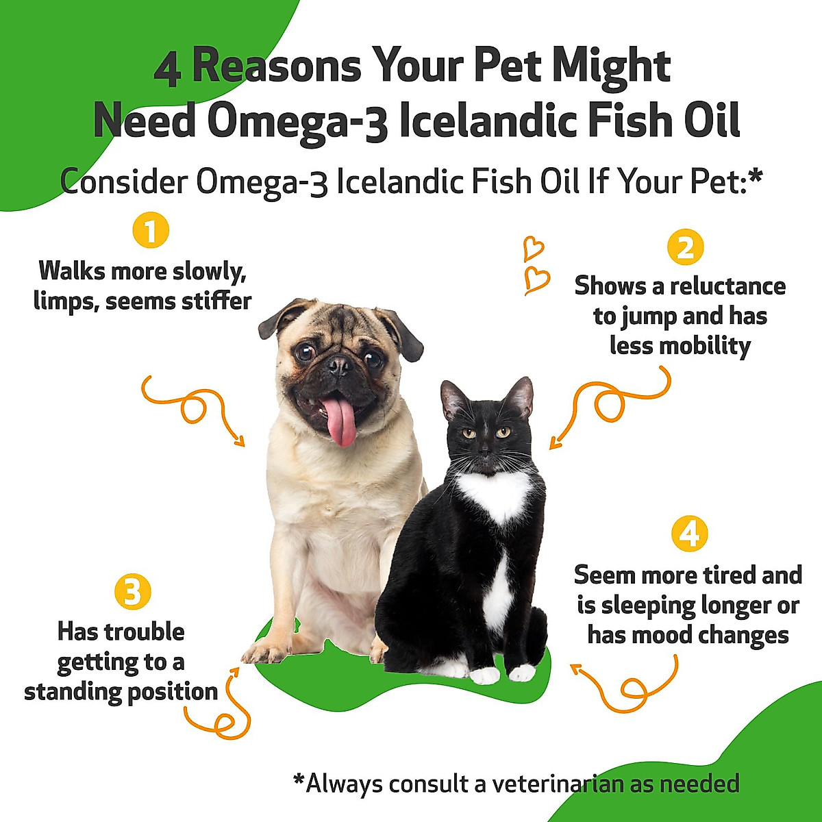 Pet Wellbeing Omega-3 Daily EFA Fish Oil for Dogs & Cats - Healthy Skin, Coat, Mobility, Joints, Heart Health - EPA, DHA - 8 fl oz (236 ml)