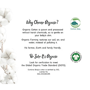 100% Organic Cotton Fitted Sheets for Graco Pack n Play, Babyletto, Pamo Babe, Hiccapop, Dream on Me, Evenflo, Baby Trend, Hygge Hush Portable/Mini Crib/Playards, Beka Bedside Bassinet 2 Pk