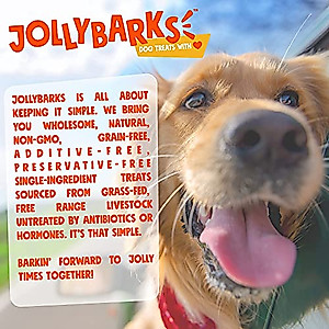 Jolly Barks Marrow Bones for Dogs 6-Inch Premium Natural Single Ingredient Odor Free Large Dog Bones - Grass Fed, Non-GMO Long Lasting Dog Bones, Dog Bones for Medium Dogs (3-Pack)