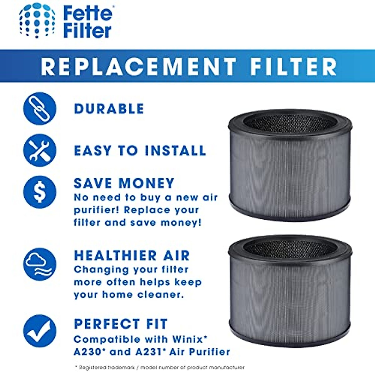 Fette Filter - 2 Premium True Hepa H13 Replacement Filter Size O Compatible with Winix Air Purifier Model A230 A231 Compare to Part # 1712-0110-00, 1712011000