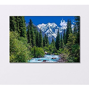 Spruce Forest near a Stormy River and Snowy Mountains Kyrgyzstan Canvas Print 3 Panels / 36x24 inches