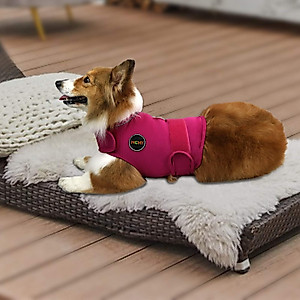 MCHY Dog Anxiety Vest, Anxiety Relief for Dogs, Dog Calming Coat (Rose S)