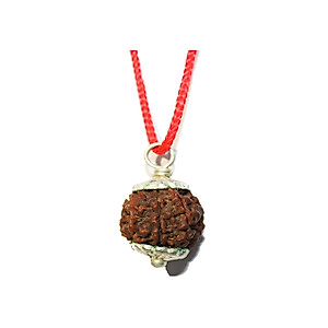 IndianStore4All 6 Mukhi Nepal Rudraksha Penadnt 100% Original Six Face Rudraksha