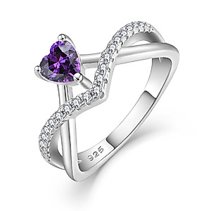 STARCHENIE Infinity Promise Ring 925 Sterling Silver Celtic Knot Birstone Ring for Women,Heart Amethyst February Birthstone Anniversary Engagement Ring Size6