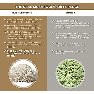 Lions Mane Brain and Focus Supplements - Mushroom Powder Extract Capsules - Non GMO and Gluten Free Supplement for Better Cognitive Health