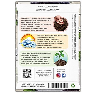 Seed Needs, Black Spanish Radish Seeds - 500 Heirloom Seeds for Planting Raphanus sativus - Non-GMO & Untreated (2 Packs)