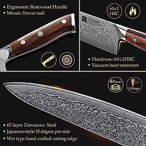 XINZUO 10 Inch Damascus Chef Knife Kitchen Knife Sharp Gyuto Knife Stainless Steel Fashion Professional Chef's Knife with Rosewood Handle