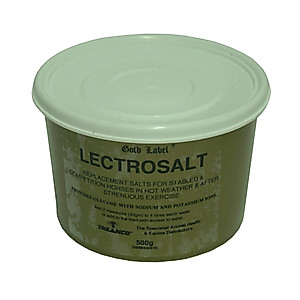Lectrosalt, Horse Supplement, Gold Label, Mineral Salt, 500 GM