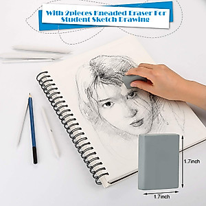 22 PCS Sketch Drawing Tools, AGPTEK 16 Blending Stumps Set with 2 Sandpaper Pencil Sharpeners, 1 Pencil Extension Tool, 2 Erasers & 1 Felt Bag for Student Sketch Drawing Accessories