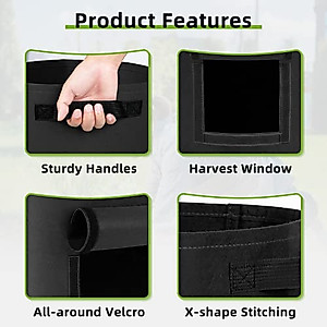 GreatBuddy 10 Gallon Potato Grow Bags 6-Pack, Thick Fabric Pots for Plants, Harvest Windows & Sturdy Handles, Labels Included, Black