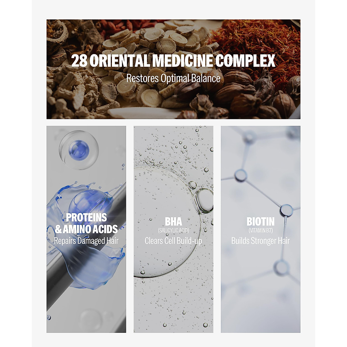 DASHU Revitalizing Protein Shampoo for Dry, Itchy Scalp, Thinning Hair, and Men - 16.9 fl oz