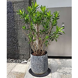 SAUCERHOME Plant Saucer 16 inch, 4 Pack 17 inch (16.8") Plastic Large Flower Planter Plant Pot Saucers and Drip Tray for Indoors Outdoors, Thick Heavy Sturdy Durable Plant Plate Water Catcher (Black)