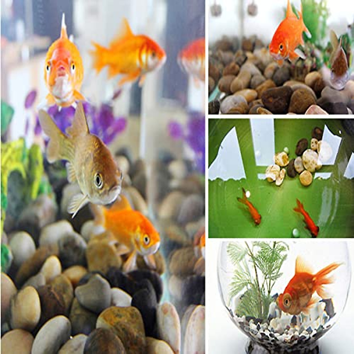 River Stones, Plants, Gardens, Landscapes, Succulents, Highly Polished Decorative Pebbles in Shapes and Sizes from 1-3 inches. (18LB, 1)