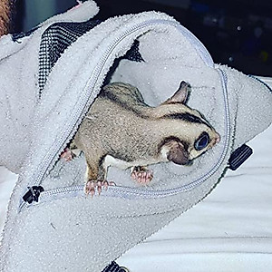 Glider Bonding Pouch - Carry Bonding Pouch for Sugar Gliders, Rats, Ferrets, Chinchillas, Squirrels, Marmosets, Hamsters, Gerbils & Small Animals