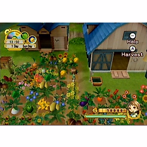 Harvest Moon: Tree of Tranquility - Nintendo Wii