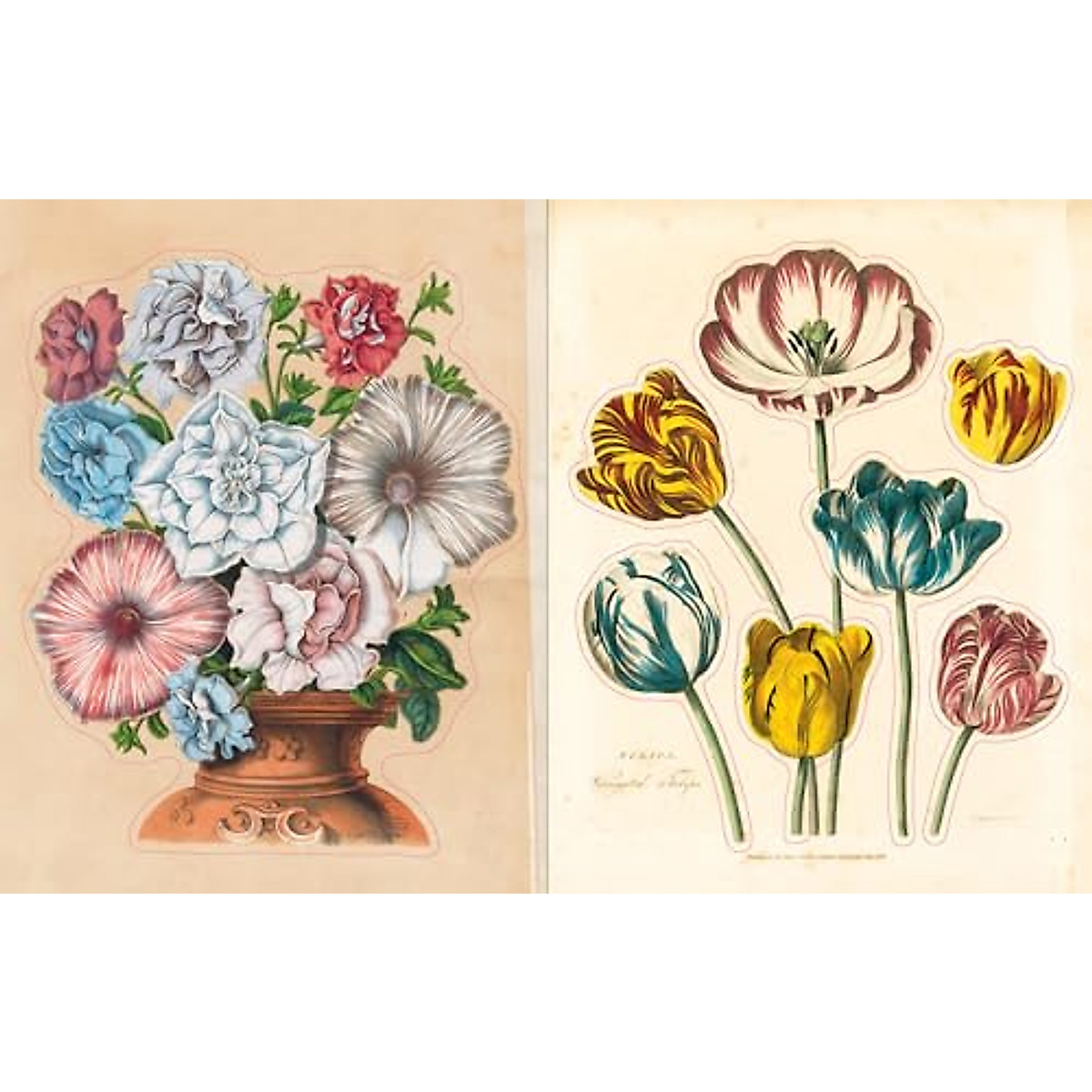 John Derian Sticker Book (John Derian Paper Goods)