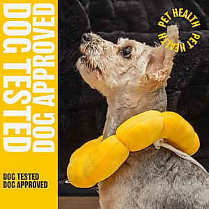 Dog Cones - Adjustable Dog Recovery Cone for Small Dogs - Dog-Friendly Design Dog Cone Collar - Reliable Head and Neck Cone for Dogs - Pet Cone - Dog Cone by Placely