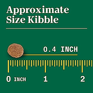 NUTRO NATURAL CHOICE Puppy Dry Dog Food, Chicken & Brown Rice Recipe Dog Kibble, 5 lb. Bag