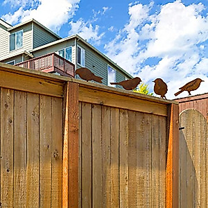 Reagia Rusty Birds Decoration, Metal Birds Statues, Lifelike Patina Metal Birds Garden Ornaments Silhouette