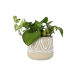 Creative Co-Op Embossed Terracotta Planter with Whitewash Finish (Holds 5" Pot