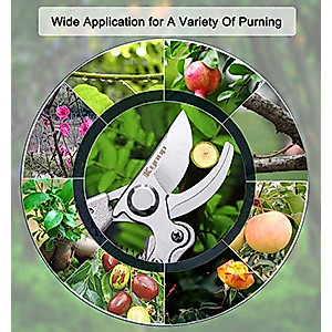 Kynup Pruning Shears for Gardening, Garden Shears Heavy Duty, Professional Bypass Pruner Hand Shears, Tree Trimmers Secateurs, Garden Clippers for Plants, Hedge Shears, Garden Tools (Red)