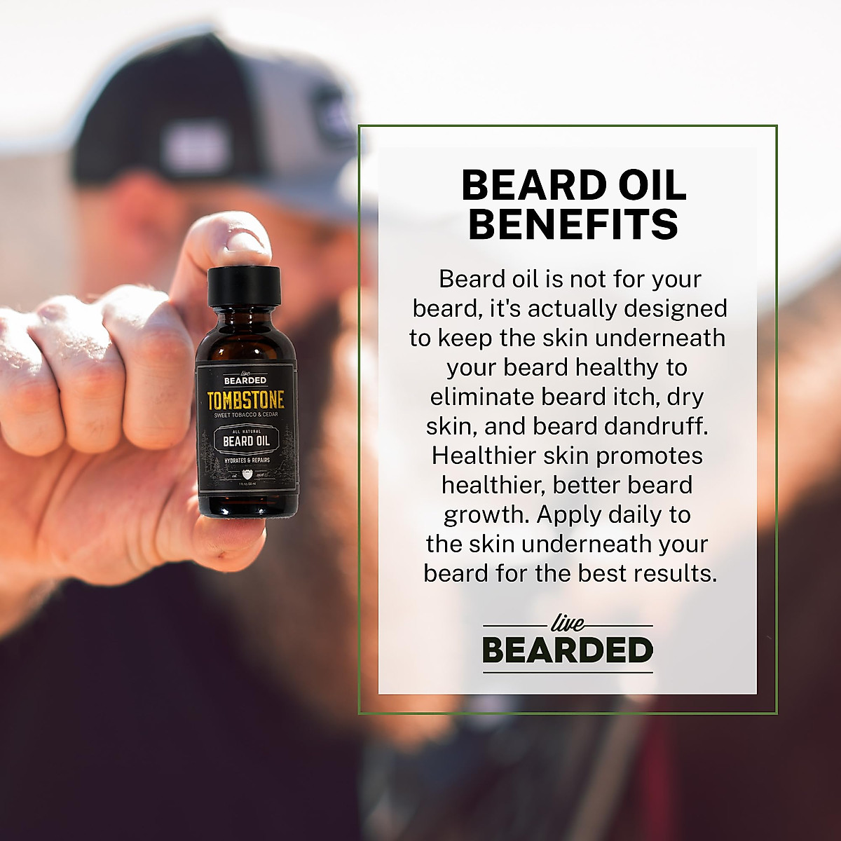 Live Bearded Beard Oil, 1 fl oz - Premium All-Natural Jojoba - Made in the USA - Hair and Skin Care for Men with Dry, Flaky Patches | Tombstone Scent - Sweet Tobacco, Cedar