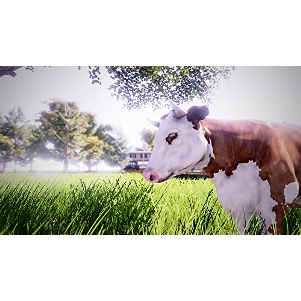 Real Farm - PlayStation 4