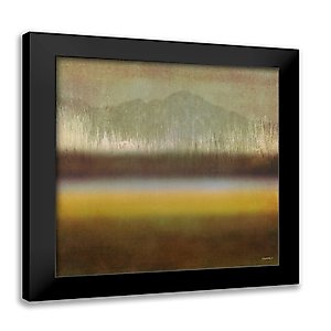 ArtDirect Meneely, Dan 20x20 Black Modern Framed Art Print Titled: Loon Lake II