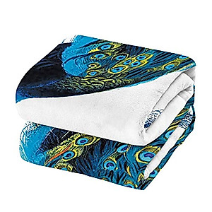 Flannel Fleece Bed Blanket 50 x 60 inch Peacock Throw Blanket Lightweight Cozy Plush Blanket for Bedroom Living Rooms Sofa Couch - Peacock Stand On Branch Wildlife Colorful Tropical Animals