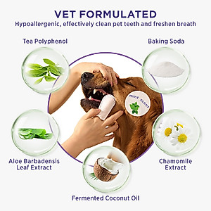 HICC PET Teeth Cleaning Wipes for Dogs & Cats, Remove Bad Breath by Removing Plaque and Tartar Buildup, Disposable Dog Finger Toothbrush Gentle Pet Dental Care Wipes, 50 Counts, (Mint Scent)