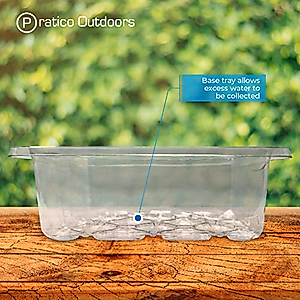 Pratico Outdoors 12 Cell Plastic Seed Starter Tray Kit, Clear, 5 Pack