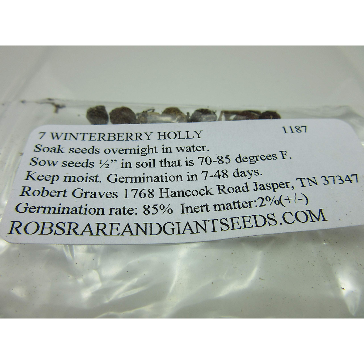 1187-Red Holly Winter Berry (Ilex verticillata) Seeds by Robsrareandgiantseeds UPC0764425788317 Non-GMO,Organic,USA Grower,Bonsai,1187 Package of 7 Seeds