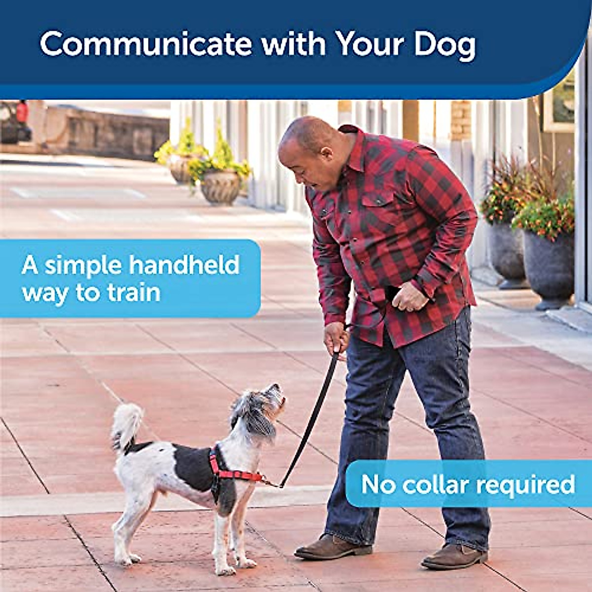 PetSafe Collarless Remote Trainer - Handheld Ultrasonic & Tone Dog Training - Correct Behavior such as Barking, Digging, Jumping - Similar to an Electronic Dog Whistle, No Collar Required