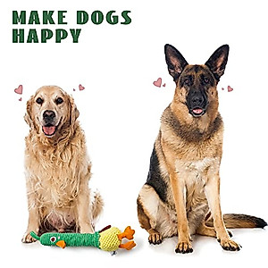Nocciola 2 in 1 Squeaky Duck Dog Toy: Cute Stuffed Dog Chew Toys with Large Durable Rubber Squeaker for Aggressive Chewers, Large, Medium Small Dogs, Plush Crinkle Pet Puppy Supplies
