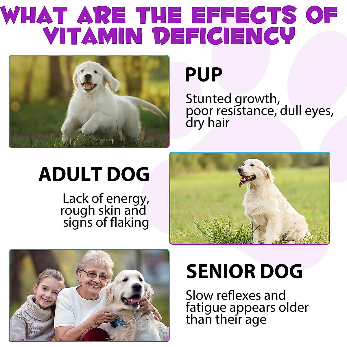 15 in 1 Dog Multivitamin, All-in-One Multi Liquid Multivitamin for Dogs, Dog Vitamins and Supplement with Digestive, Immunity, Allergy Skin & Coat Support, Hip & Joint, All Ages, Breeds 2 oz