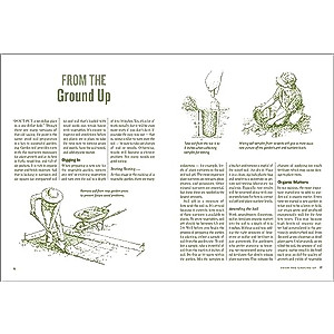 Week-by-Week Vegetable Gardener's Handbook: Perfectly Timed Gardening for Your Most Bountiful Harvest Ever