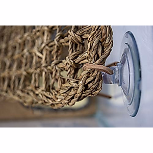 PENN-PLAX Reptology Lizard Lounger – 100% Natural Seagrass Fiber – Great for Bearded Dragons, Anoles, Geckos, and Other Reptiles – Extra Large