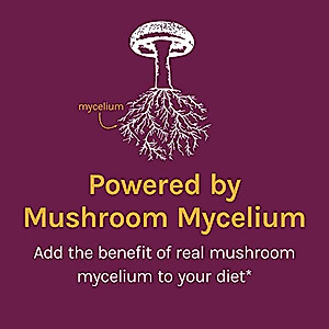 Host Defense, Turkey Tail Mushroom Powder, Supports Immune Health, Mushroom Supplement, Plain, 3.5 Ounce (Pack of 1)