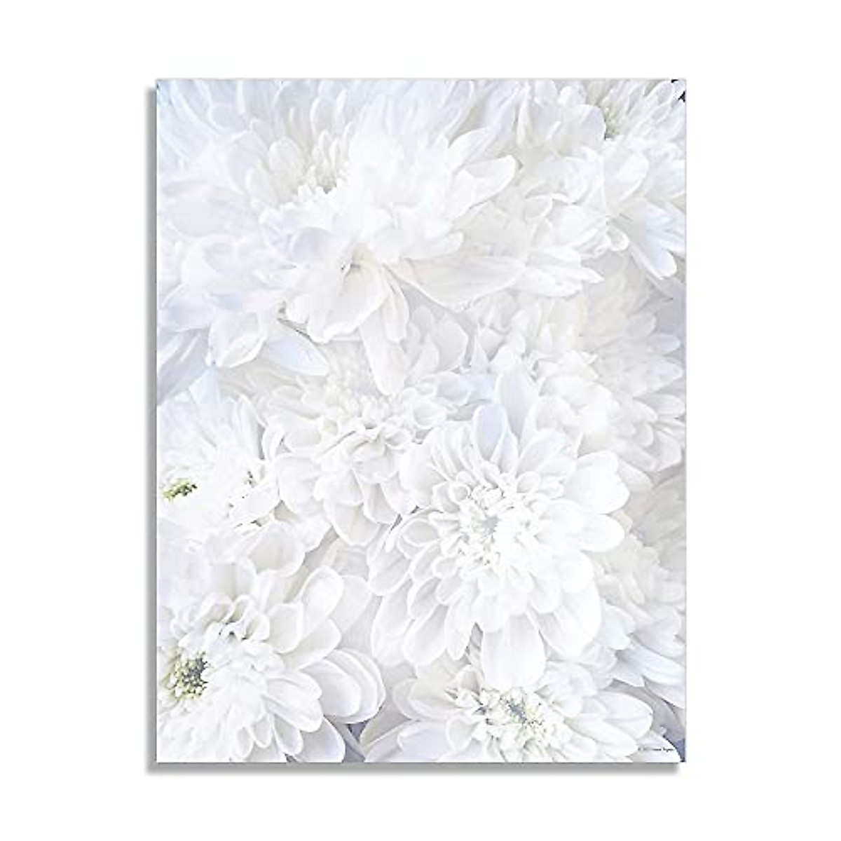 White Soft Petals Stationery Paper - 80 Sheets